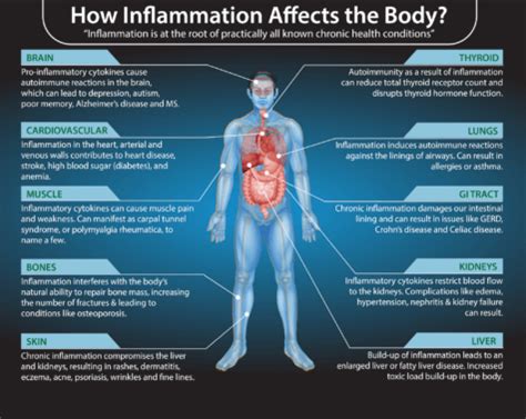 Top Inflammatory Lab Markers And Optimal Ranges