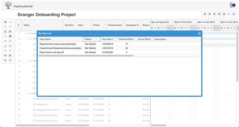 How Salesforce Gantt Chart Software Can Help Manage Projects Inspire