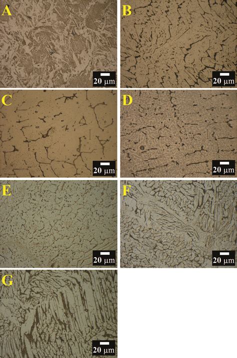 Optical Microscope Micrographs Of The Selected Fe Based Alloys Which Download Scientific