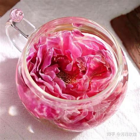 【产品简介】玫瑰花茶 知乎