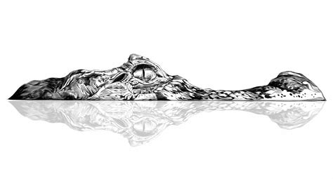 alligator indicator strategy how to use the alligator forex indicator