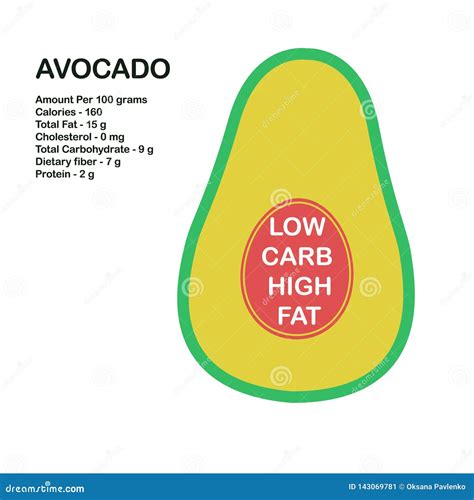 Avocado Nutrition Facts Stock Vector Illustration Of Smart 143069781