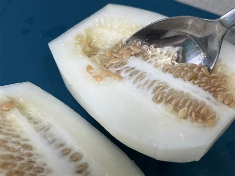 참외 썰지 말고 갈아 드세요 달콤함과 시원함이 확 살아납니다 텐꿀팁