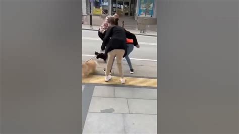 Sigmalı Pişiy Vs Normal Pişik Youtube