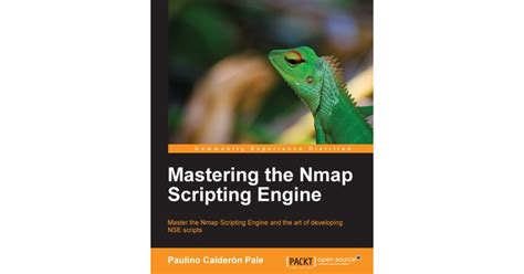 Mastering The Nmap Scripting Engine Book