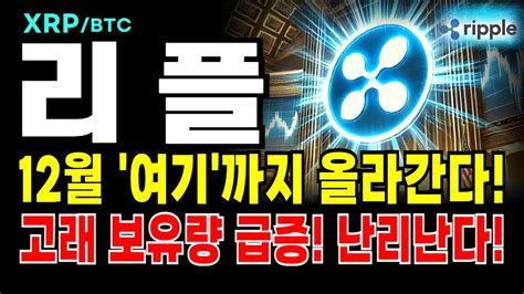 리플 코인 전망 3천원 돌파 이제 이렇게 움직입니다 고래보유량 급증 12월 여기까지 올라간다 리플코인 리플 Xrp