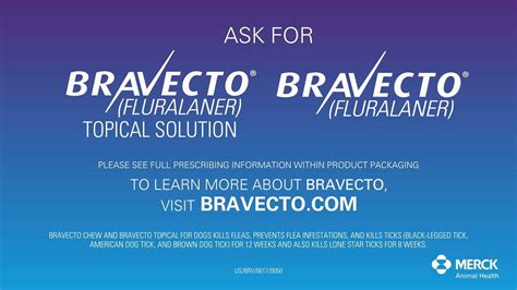 Bravecto 3 Month Flea And Tick Prevention We Now Carry Bravecto That Provides Flea And Tick