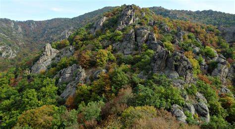 무료 이미지 경치 나무 자연 숲 록 꼬리 산맥 낭떠러지 밀림 지역 국립 공원 산등성이 오스트리아 바위 초목 열대 우림 좁은 골짜기 고원