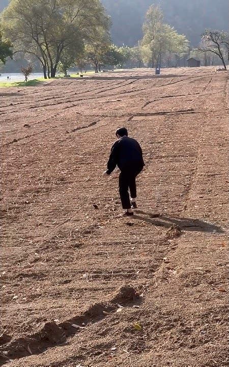 혼자 삑삑대던 아기 병아리를 주웠다 훔친거 아님 병아리 병아리키우기 Youtube