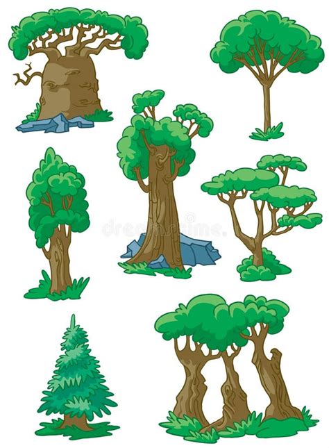 Sequoia Tree Stock Illustrations Sequoia Tree Stock Illustrations Vectors Clipart