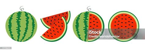 수박 아이콘 세트 라인입니다 전체 잘 익은 녹색 줄기 슬라이스 반 씨앗을 잘라 녹색 빨간색 둥근 과일 베리 육체 껍질 천연 건강 식품 달콤한 물 멜론 열대 과일 흰색