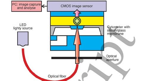 Scheme Of The Optical Set Up Download Scientific Diagram