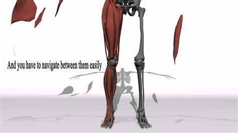 How To Organize Your Outliner In Maya Youtube