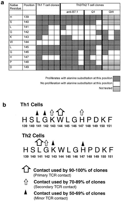 A Relative Requirement Of Each Residue In T Cell Activation And B Download Scientific