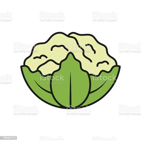 콜리플라워 아이콘 디자인 템플릿 벡터 일러스트 레이 션 꽃 양배추에 대한 스톡 벡터 아트 및 기타 이미지 꽃 양배추 농업