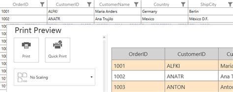 Printing In WPF DataGrid Control Syncfusion Printing In WPF DataGrid Control Syncfusion