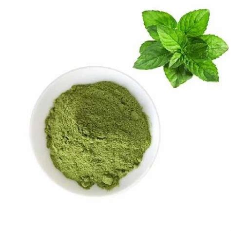 Peppermint Leaf Extract Packaging Type Drum Packaging Size 10 Kg At