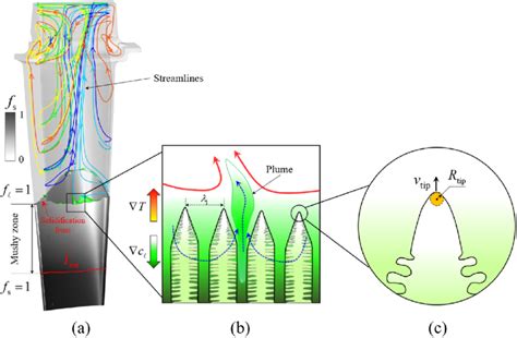 Schematic Of Va Based Solidification Model A Flow Pattern In The