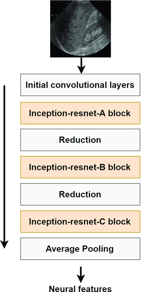 Transfer Learning With Deep Convolutional Neural Network For Liver Steatosis Assessment In
