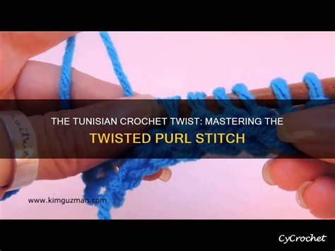 The Tunisian Crochet Twist Mastering The Twisted Purl Stitch Cycrochet