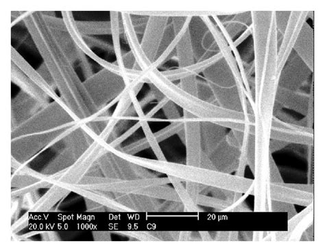 Sem Micrographs Showing The Effect Of Individual And Binary Solvent Download Scientific Diagram