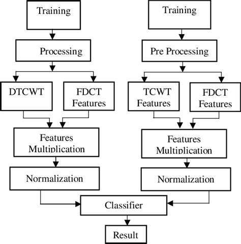 figure 1 from hybrid face recognition using fusion of dtcwt and fdct