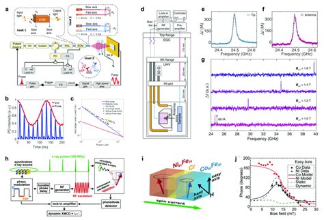 A Schematic Of The Time Resolved Zero Area Sagnac Interferometer Download Scientific Diagram