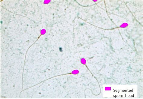 Classification Example A Original Image B Mahalanobis Distance Download Scientific