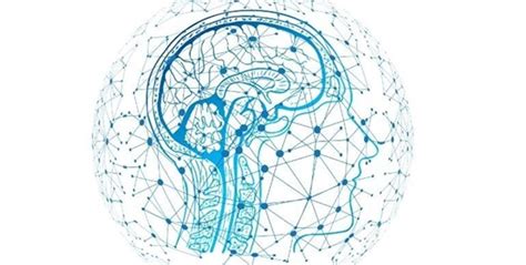 Healthhq Machine Learning Programs Predict Risk Of Death Based On Results From Routine