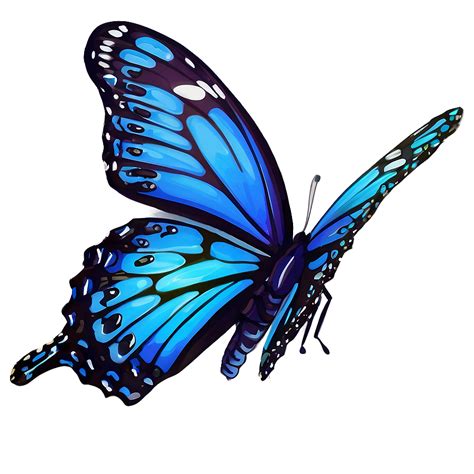 Download Blue Butterfly Illustration Png Fko33
