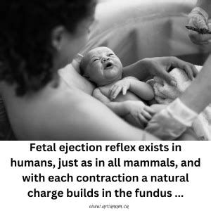 Fetal Ejection Reflex Or The Big Whoosh Arcanum Wholistic Clinic