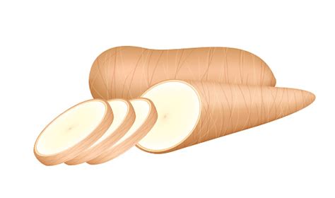 흰색 배경에 신선한 고립 원시 카사바 타피오카 밀가루 산업 또는 에탄올 산업을위한 카사바 컷 슬라이스 더미 유카 카사바 덩이줄기