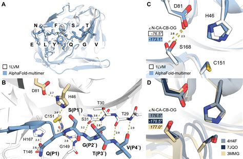 Directed Evolution Of The 3c Protease From Coxsackievirus 55 Off