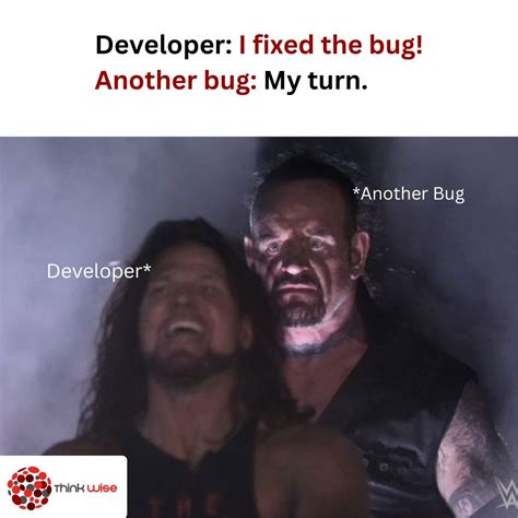 Thinkwise Consulting Llp On Linkedin Itsolutions Bugfixing Softwaredevelopment