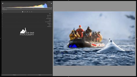 How To Use A Camera Histogram 2024 Beginners Guide