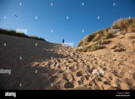 Sand Dunes At Camber Sands Beach Camber Near Rye East Sussex England