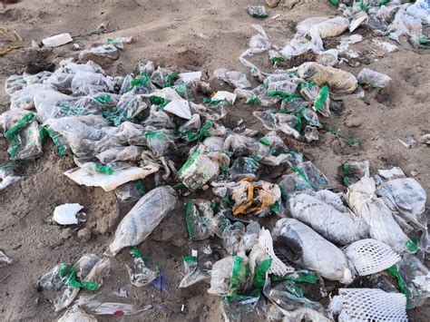 សំរាមធ្លាក់ដល់ដី មិនខ្ចីធ្វើដឹង…