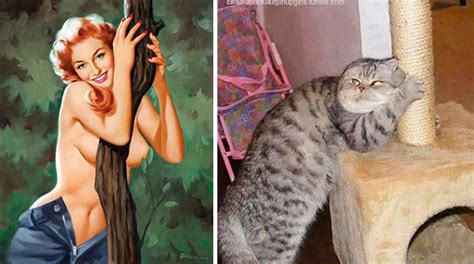 Potret Kucing Jiplak Pose Model Cantik Ini Gak Kalah Seksi Lho Malah Bikin Gemes Tribunkaltim Co