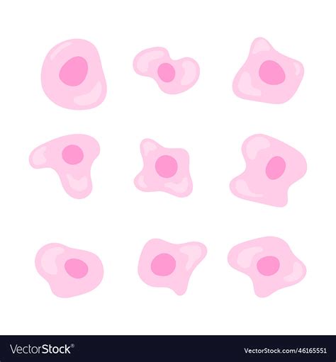Human Stem Cell Icon Set For Medical Design Vector Image