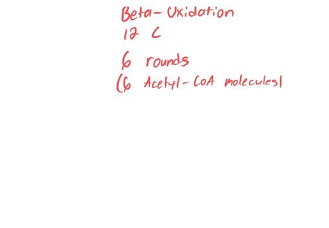solved please calculate the number of atp that can be generated from