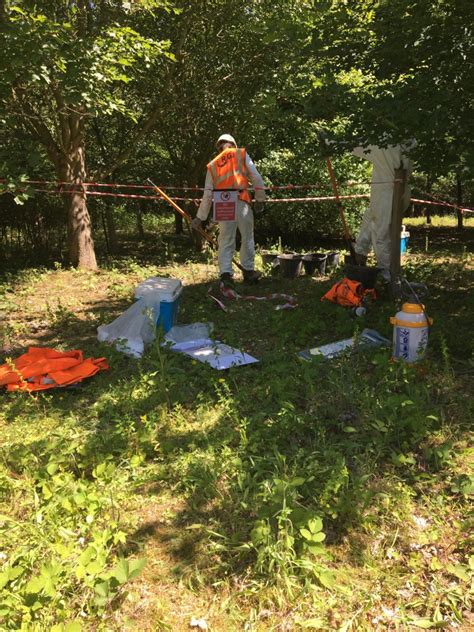 Sharps Removal And Disposal Esoteric Group Limited