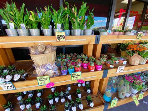 My Favorite Trader Joes Products The Fitnessista