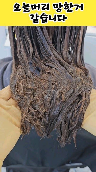 망한머리 복구전문 박다리미원장 공주짱헤어샵 울산미용실 언양미용실 복구매직 탄머리복구 녹은머리 복구탈색 복구염색 복구펌 복구크리닉 탄머리 복구교육 Youtube