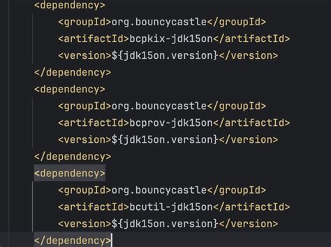 解决国密org bouncycastle依赖冲突