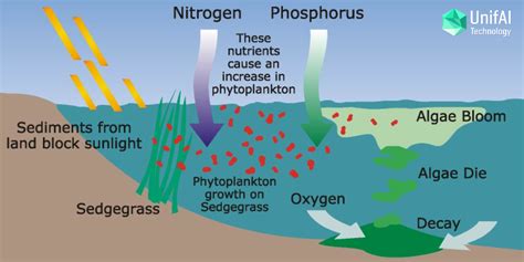 Eutrophication Causes