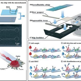 A Basic Design Assembly Of The Chip A Microfluidic Chip B Download Scientific Diagram