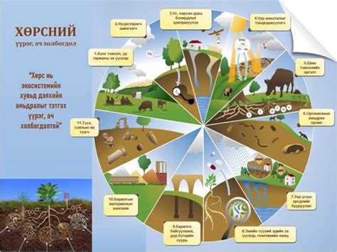 Хөрсний үүрэг ач холбогдлыг та мэдэх үү