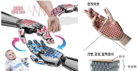 인간 피부보다 훨씬 더 민감kaist ‘로봇 전자피부 개발