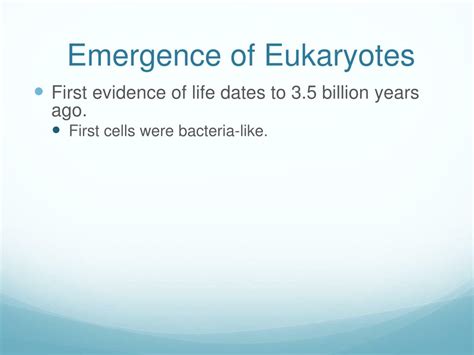 Ppt Unicellular Eukaryotes Powerpoint Presentation Free Download