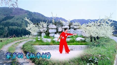 家乡的红枣树歌曲 演唱 乡村 第3页 大山谷图库
